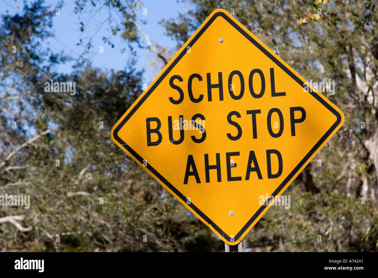 School bus sign Stock Photo - Alamy