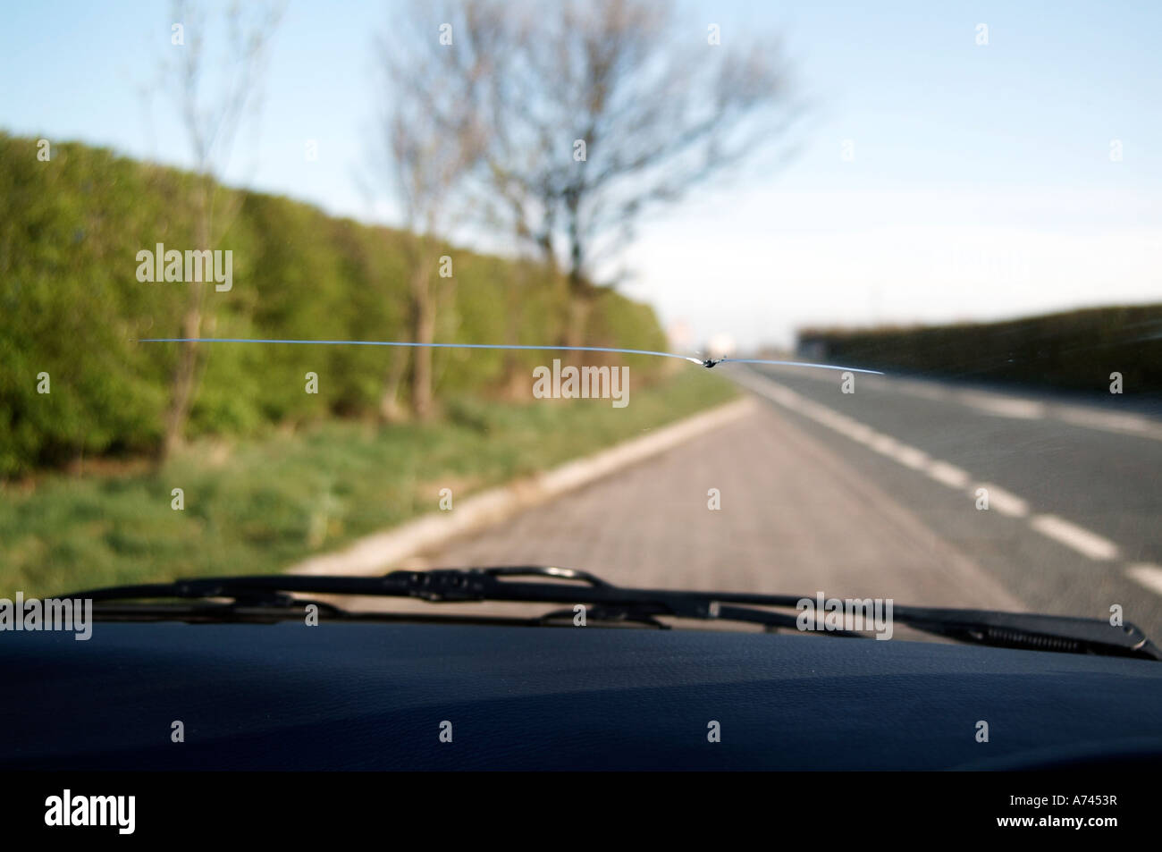 stone chip on car windscreen Stock Photo - Alamy