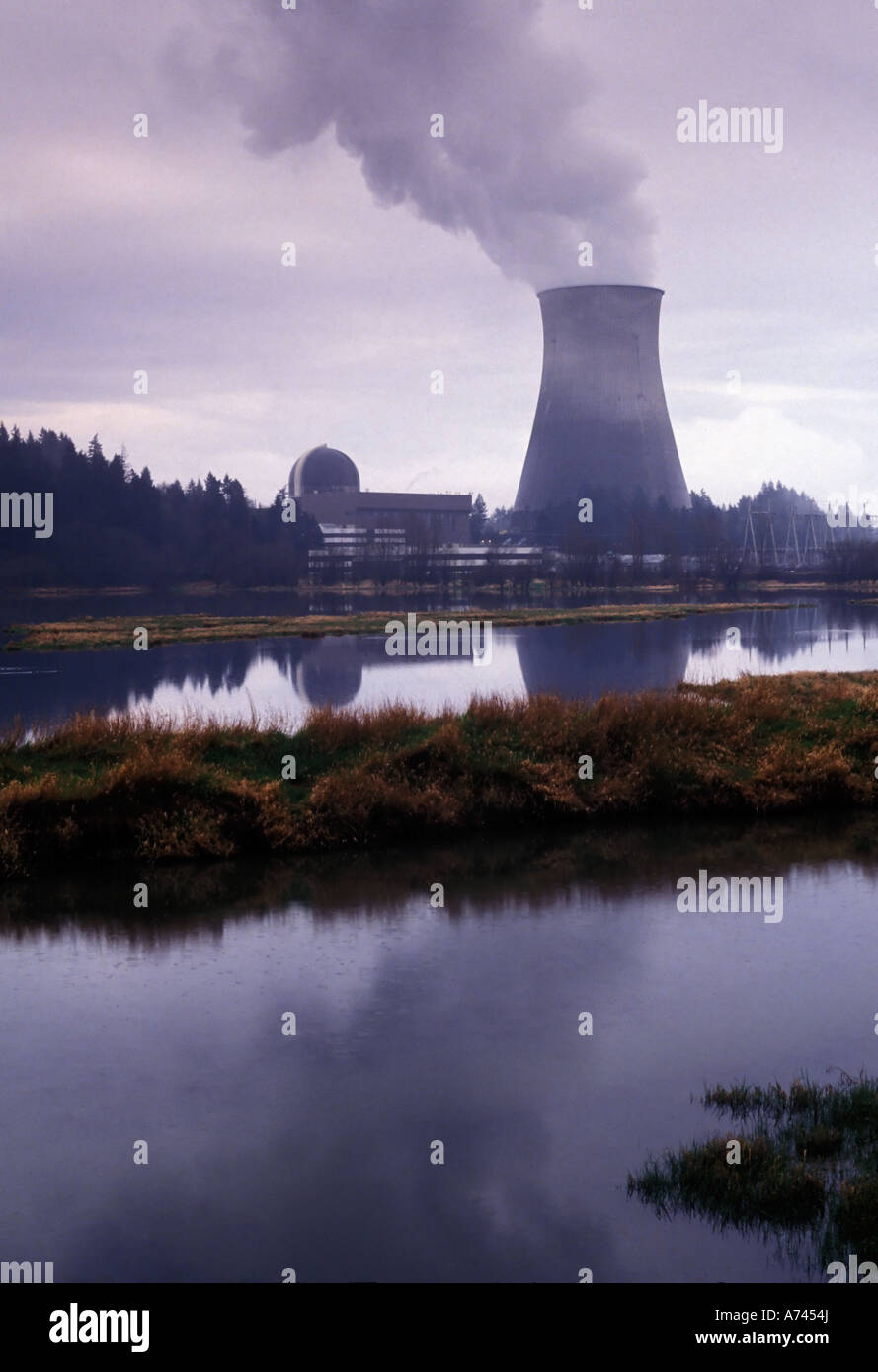 Trojan Nuclear High Resolution Stock Photography and Images - Alamy