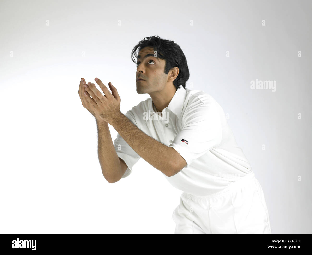 Cricket fielder in action hi-res stock photography and images - Alamy