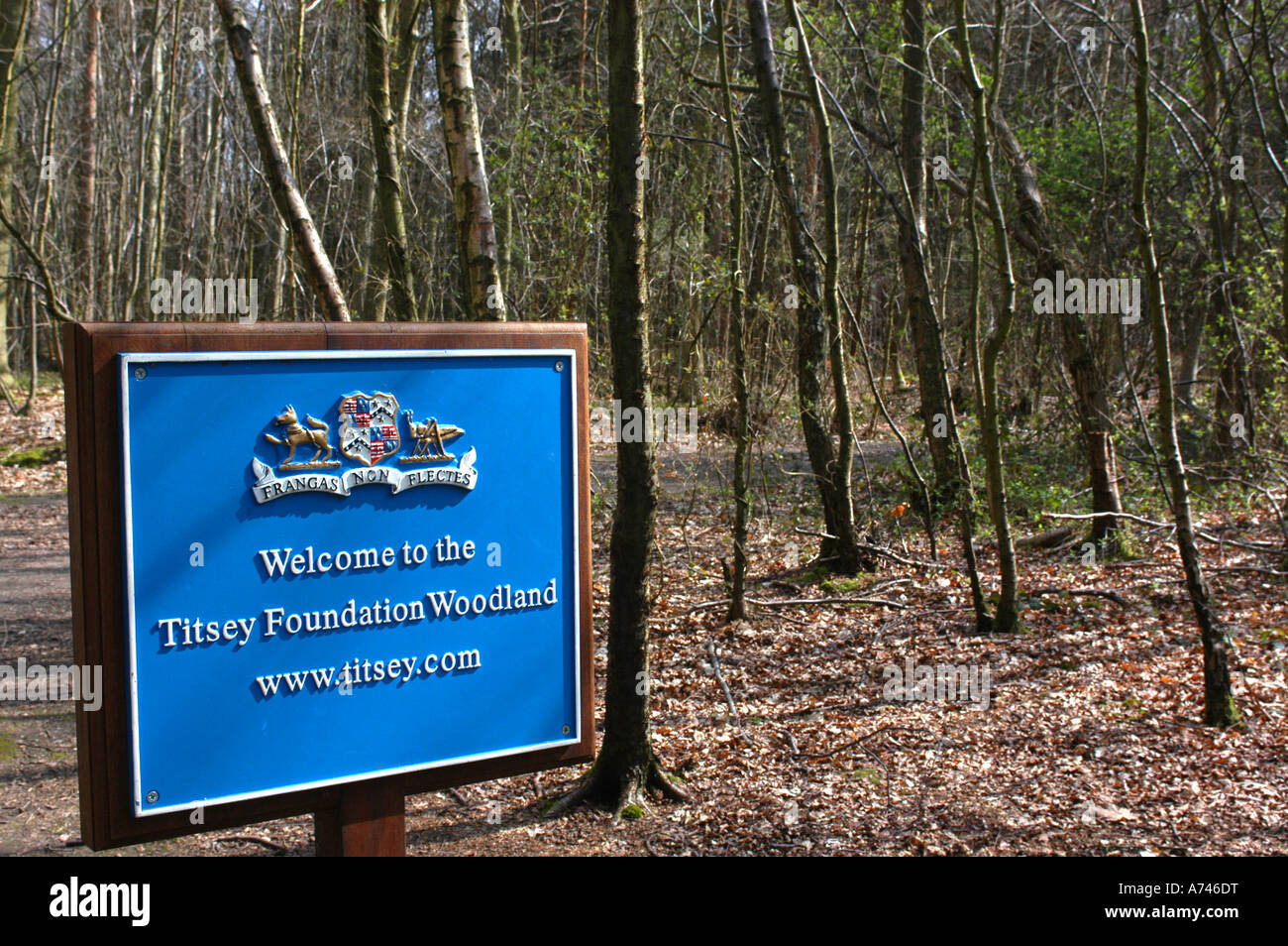 Frangas non flectes hi-res stock photography and images - Alamy