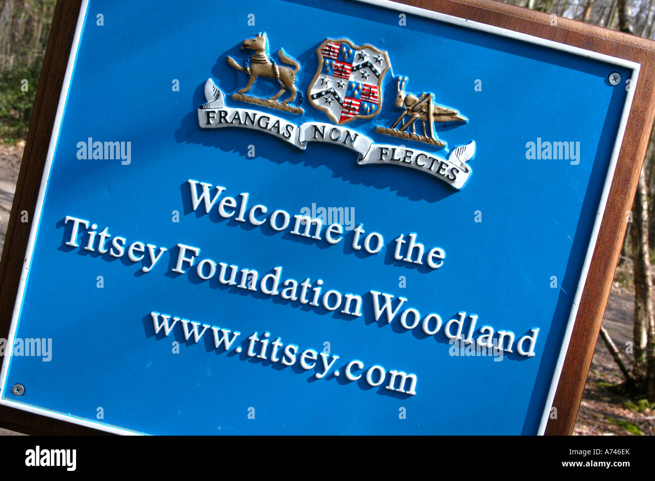 Frangas non flectes hi-res stock photography and images - Alamy