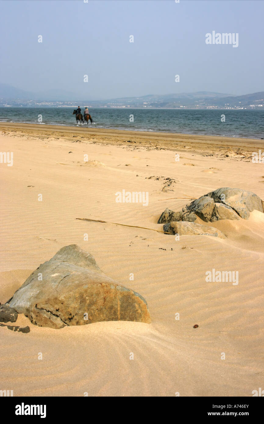 Ireland horses on the beach hi-res stock photography and images - Alamy