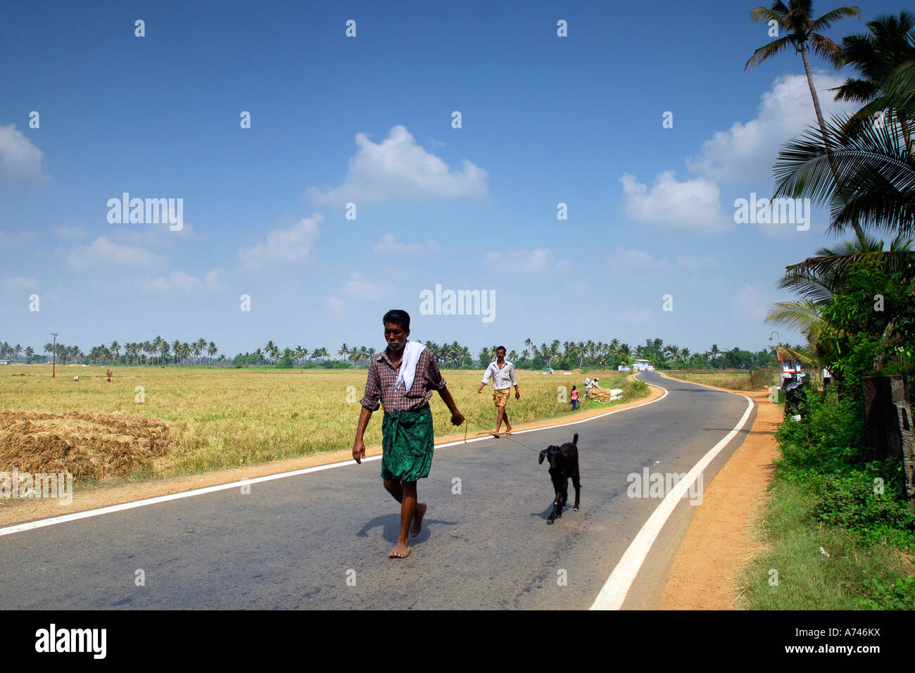 KUTTANAD IN KERALA Stock Photo - Alamy