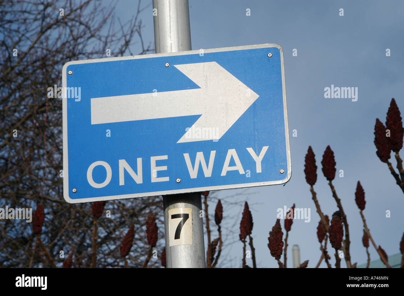 One way road sign in the uk Stock Photo - Alamy