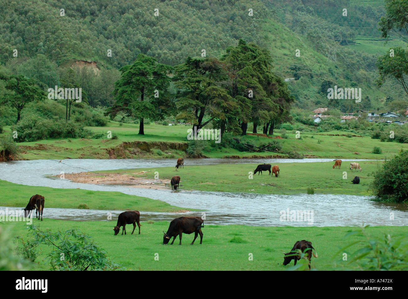 World mountan hi-res stock photography and images - Alamy