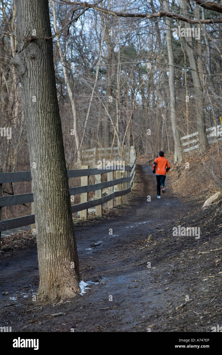 person running on trail Stock Photo - Alamy