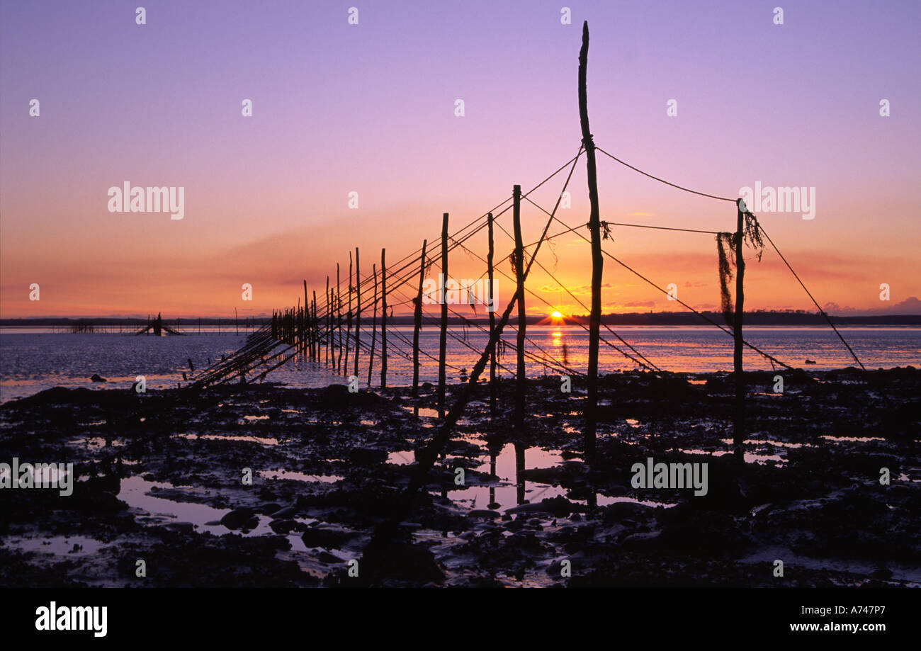 Salmon Stake Nets High Resolution Stock Photography and Images - Alamy