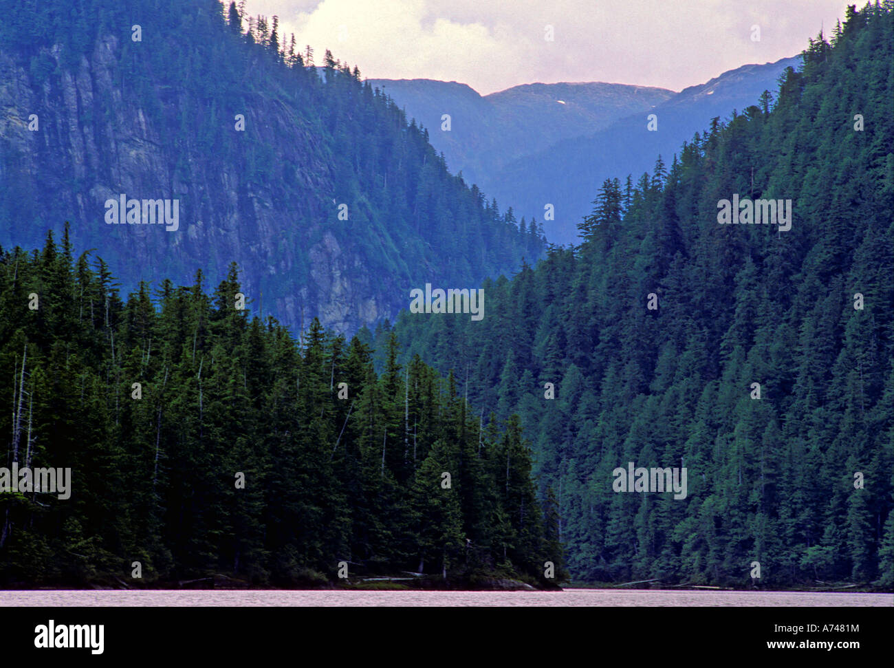 Princess royal island hi-res stock photography and images - Alamy