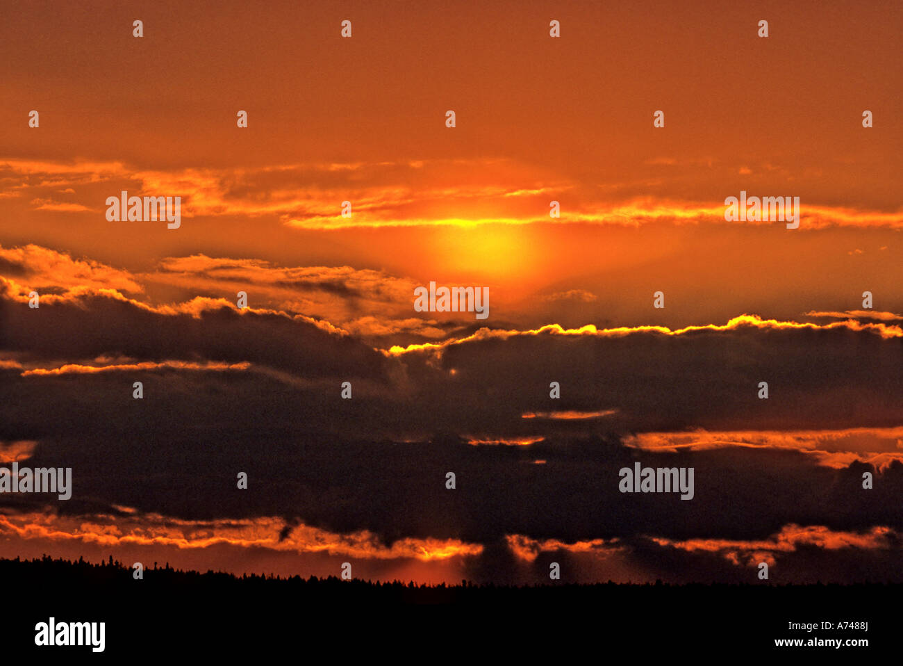 Tone nature hi-res stock photography and images - Alamy
