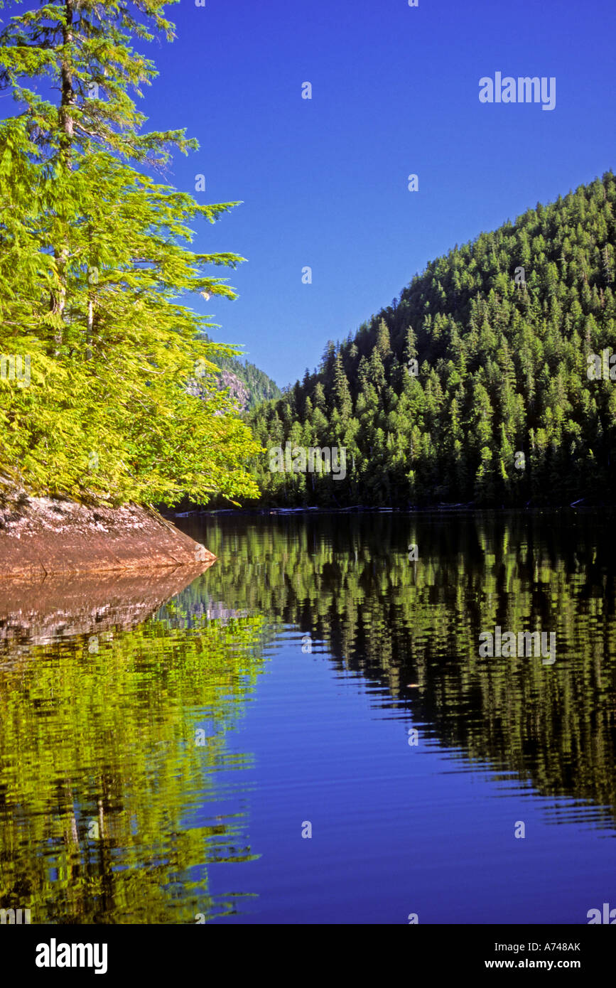 Rainforests hi-res stock photography and images - Alamy