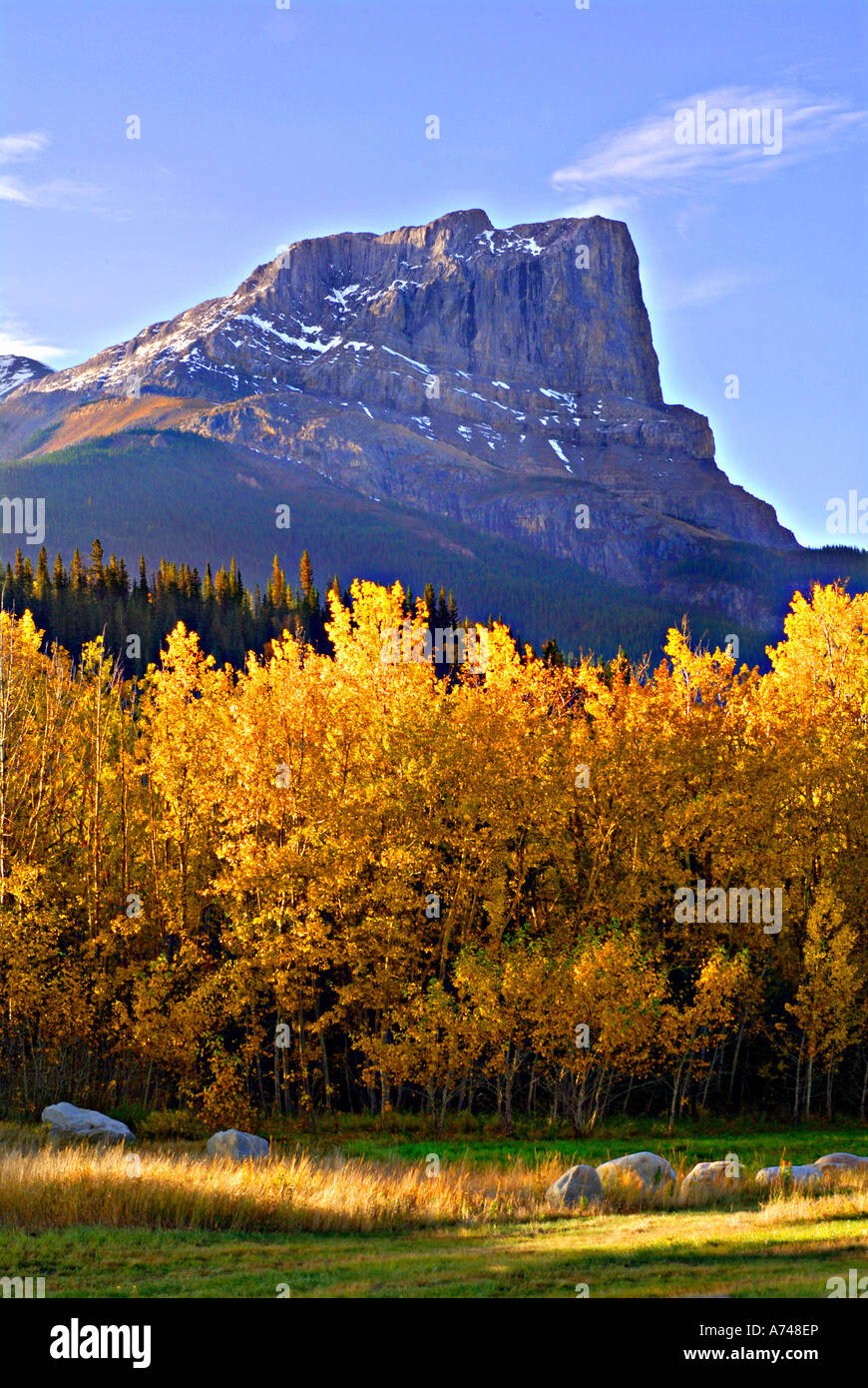Roche Miette Jasper National Park High Resolution Stock Photography and ...