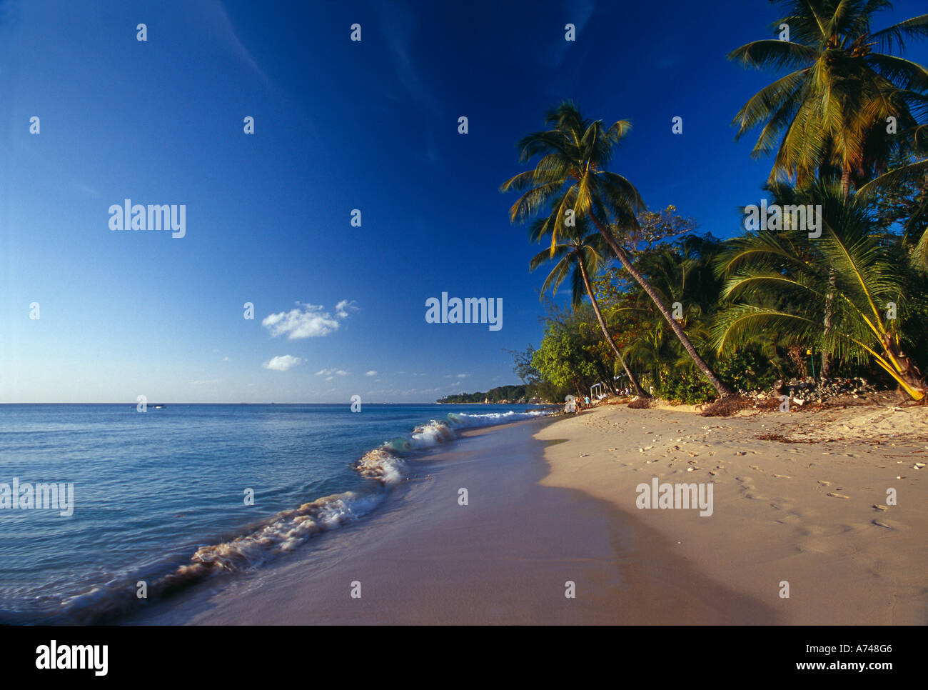 beach at Mullins Bay West Coast Barbados Stock Photo - Alamy