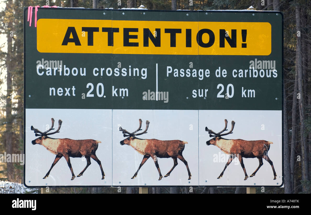 Woodland Caribou sign Stock Photo - Alamy