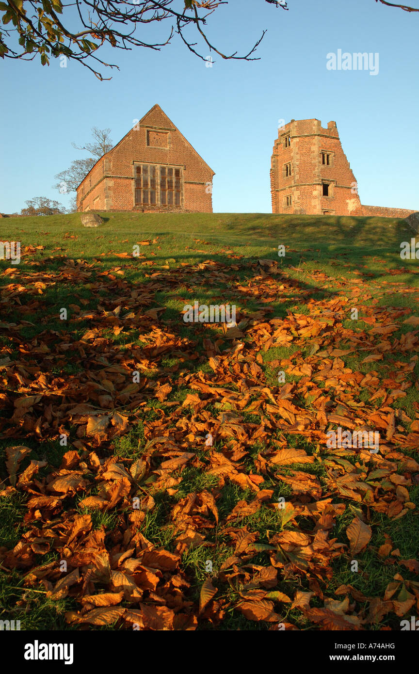 ruins of Bradgate House, Bradgate Park, Leicestershire, England, UK ...