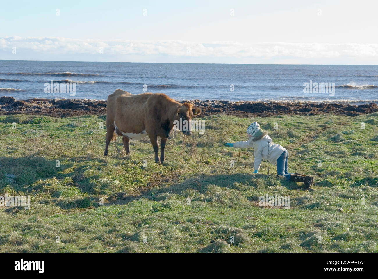 Girl and cow Stock Photo - Alamy