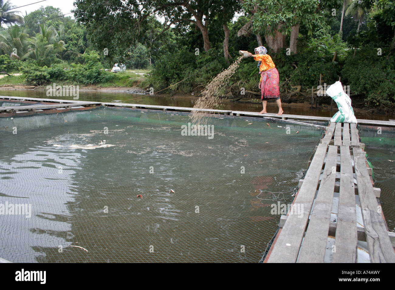 Fish farming in malaysia hi-res stock photography and images - Alamy