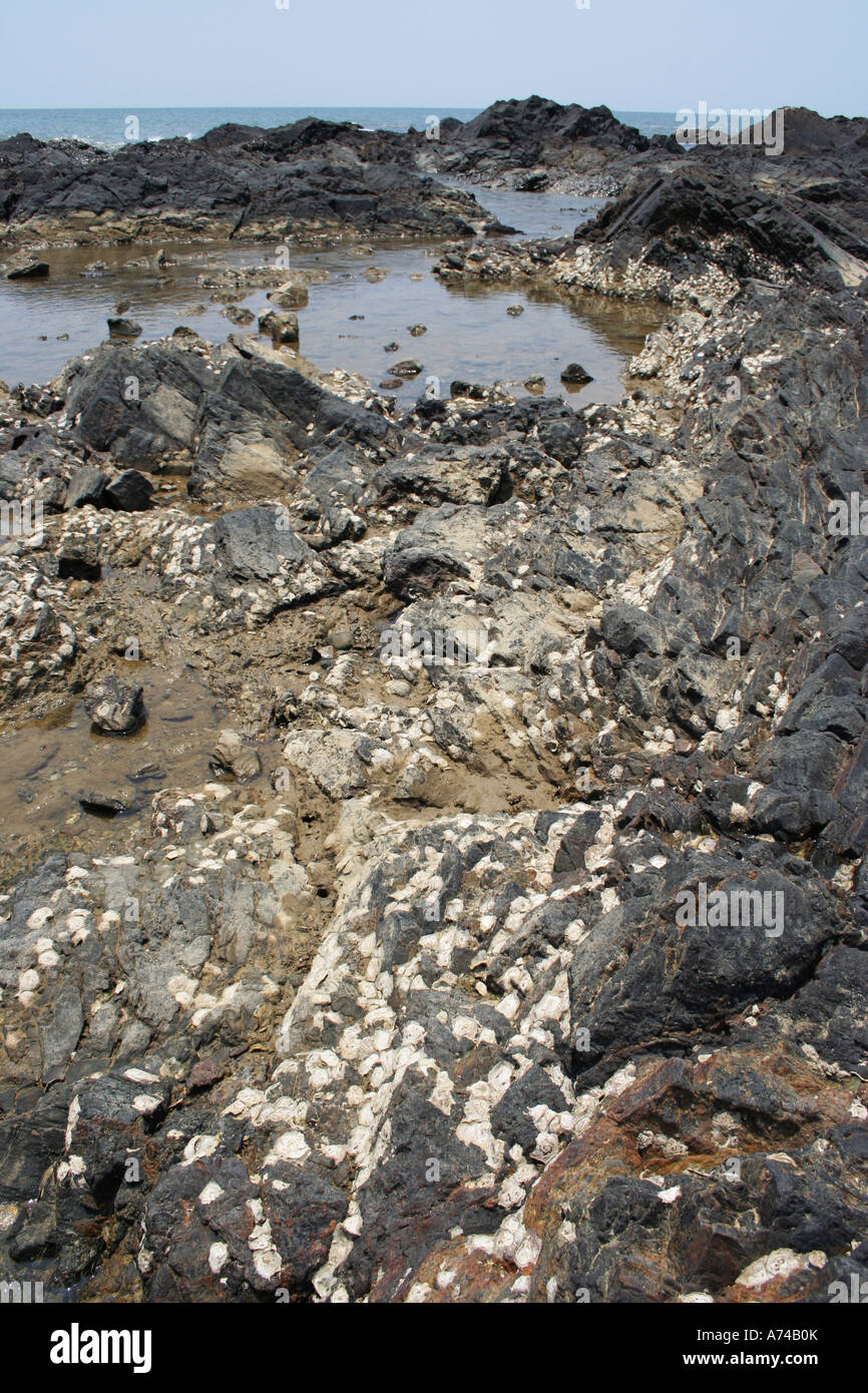Rocks exposed by low tide Stock Photo - Alamy