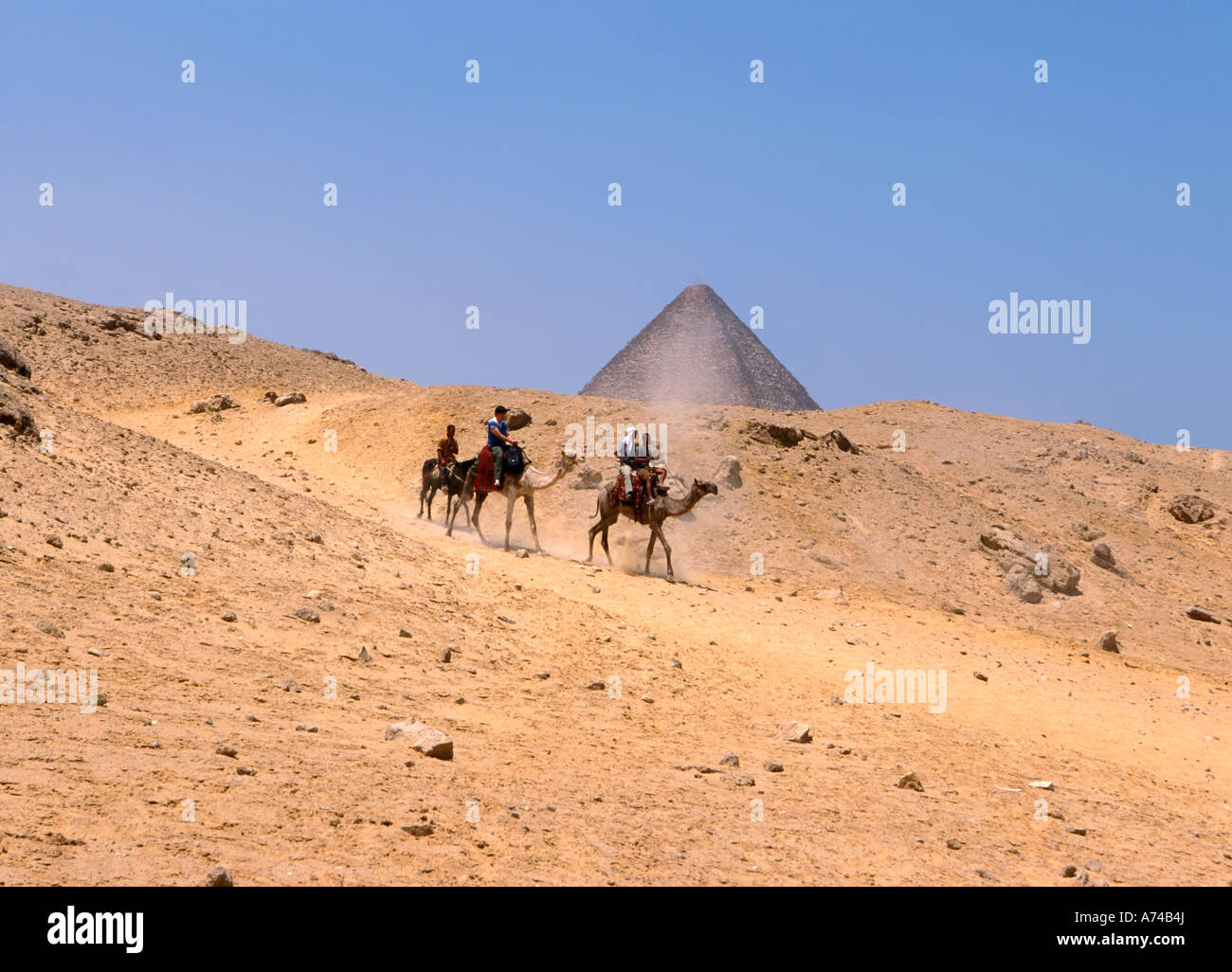 Woman Camel Pyramids Egypt Stock Photos & Woman Camel Pyramids Egypt ...