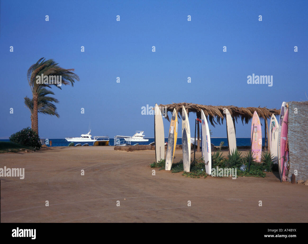 Windsurfing boards on beach Stock Photo - Alamy