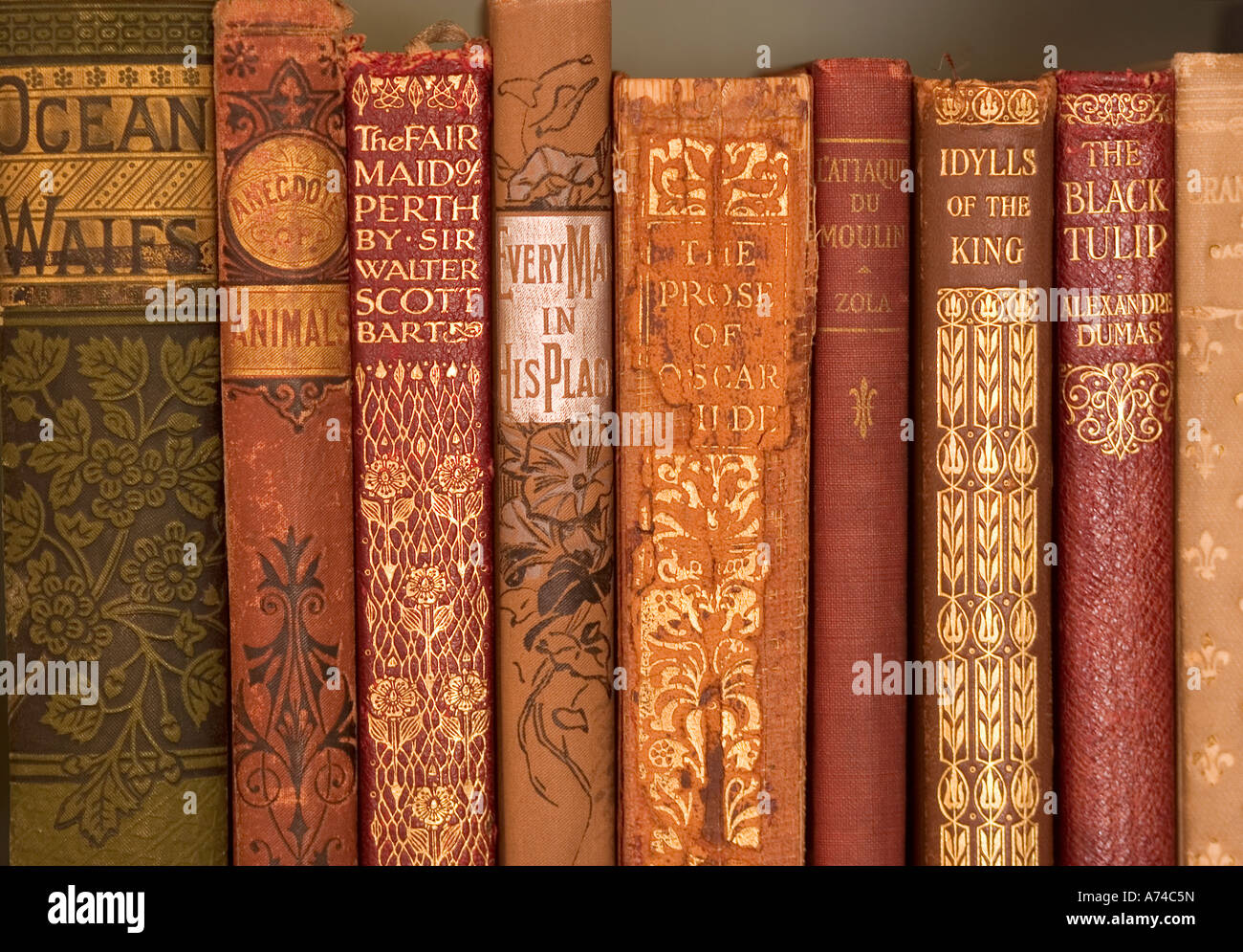 Victorian Era Books