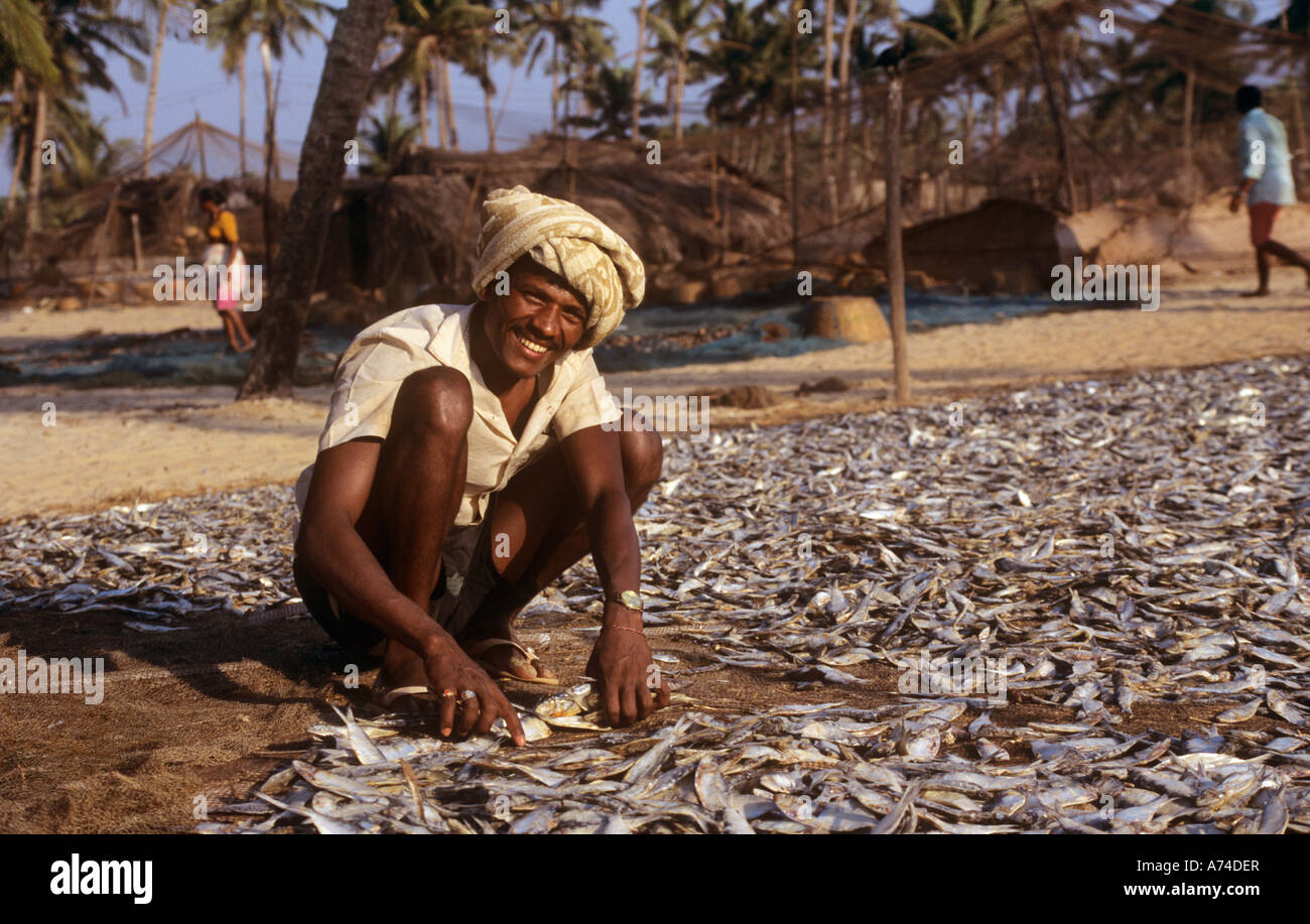 Fisherman drying fish Colva Goa India Stock Photo - Alamy