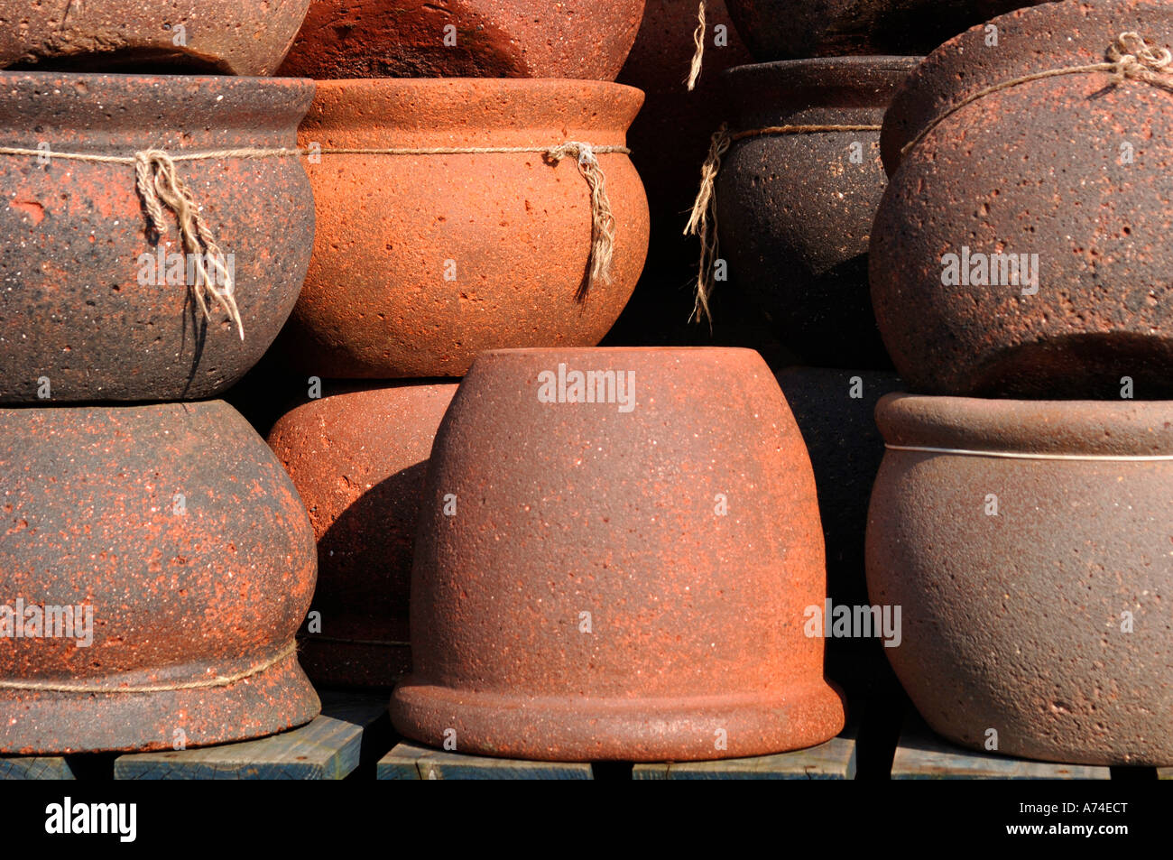Still-Life Decorative Plant Pots Stock Photo - Alamy