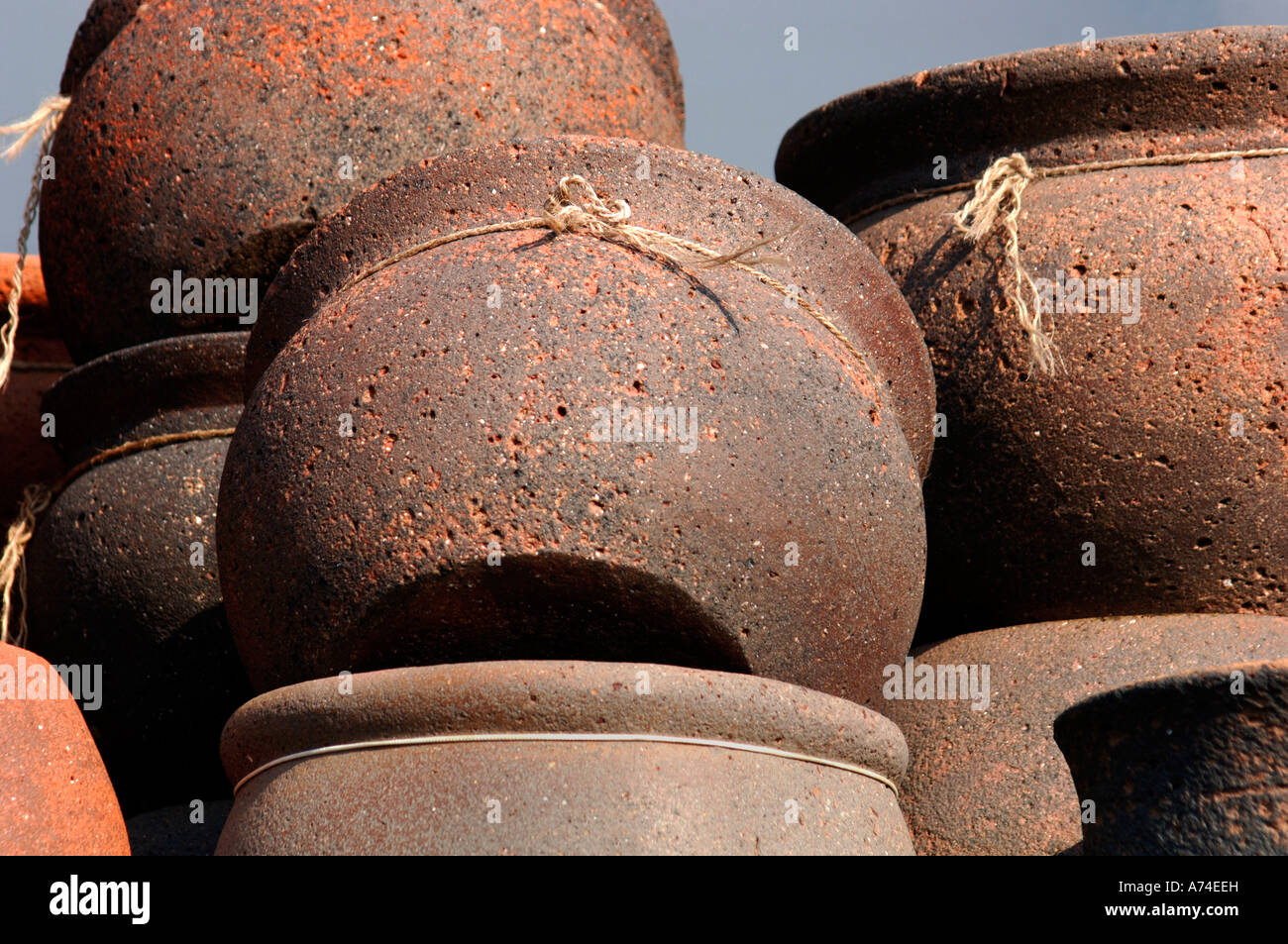 Still-Life Decorative Plant Pots Stock Photo - Alamy