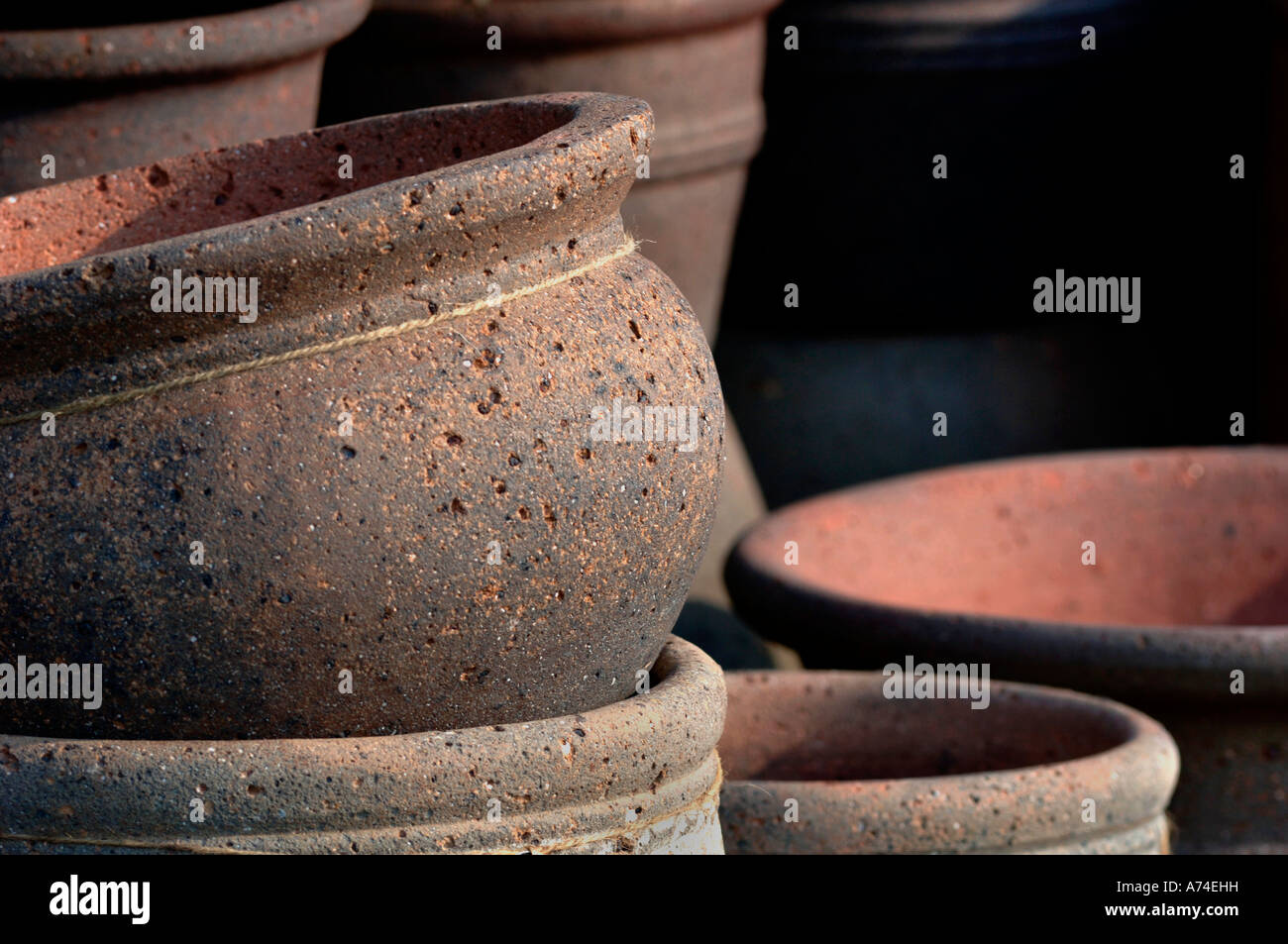Still-Life Decorative Plant Pots Stock Photo - Alamy