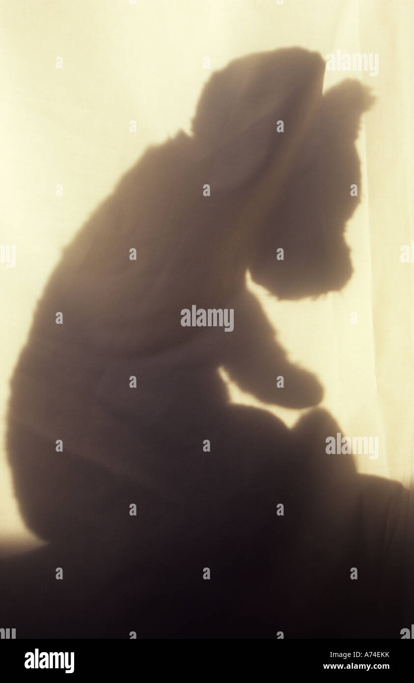Shadow in warm light on pale cloth or curtain of seated teddy bear in ...