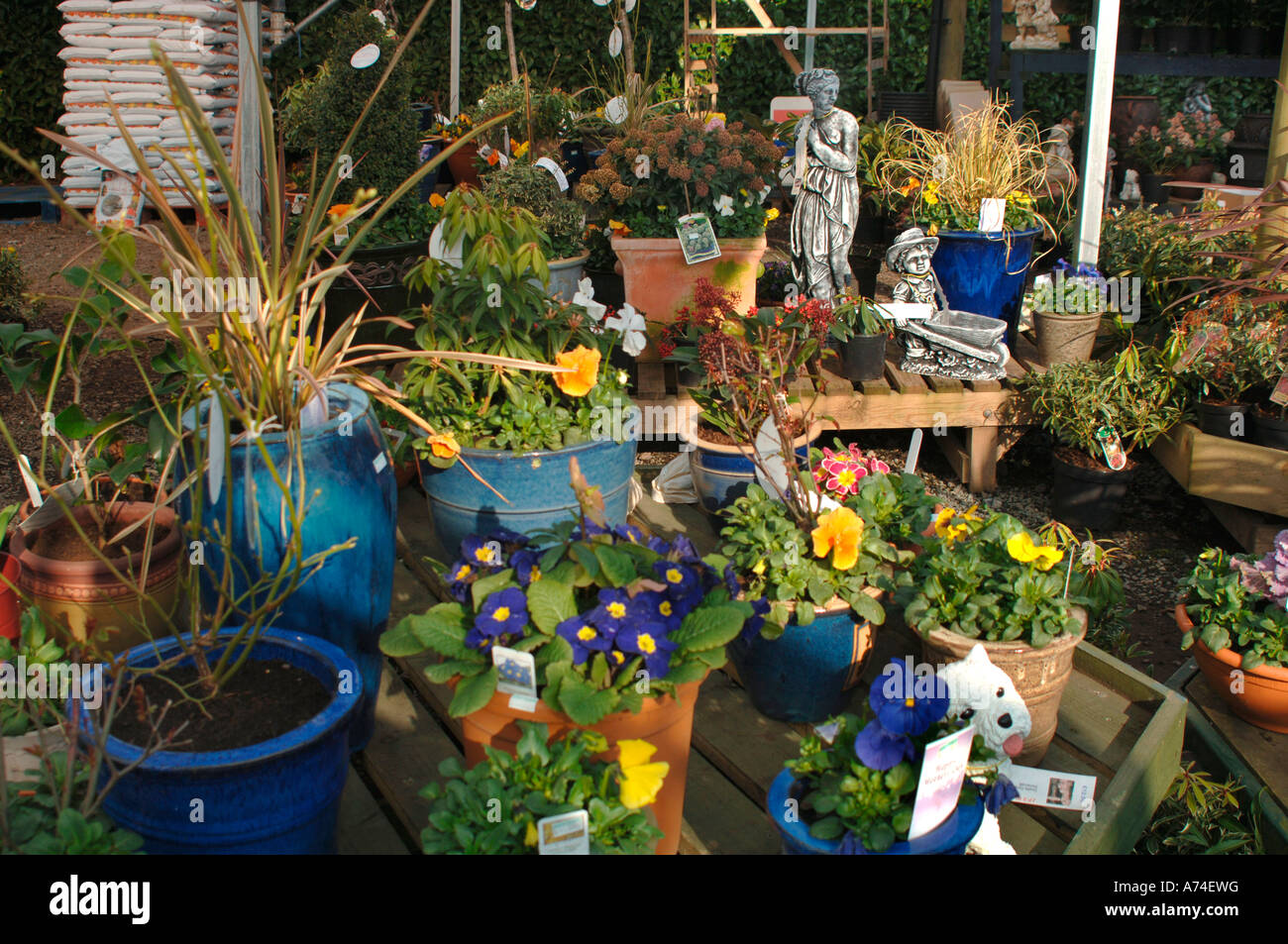 Plants & Statues,& Other Gardening Items, On Sale At A "Garden Center ...