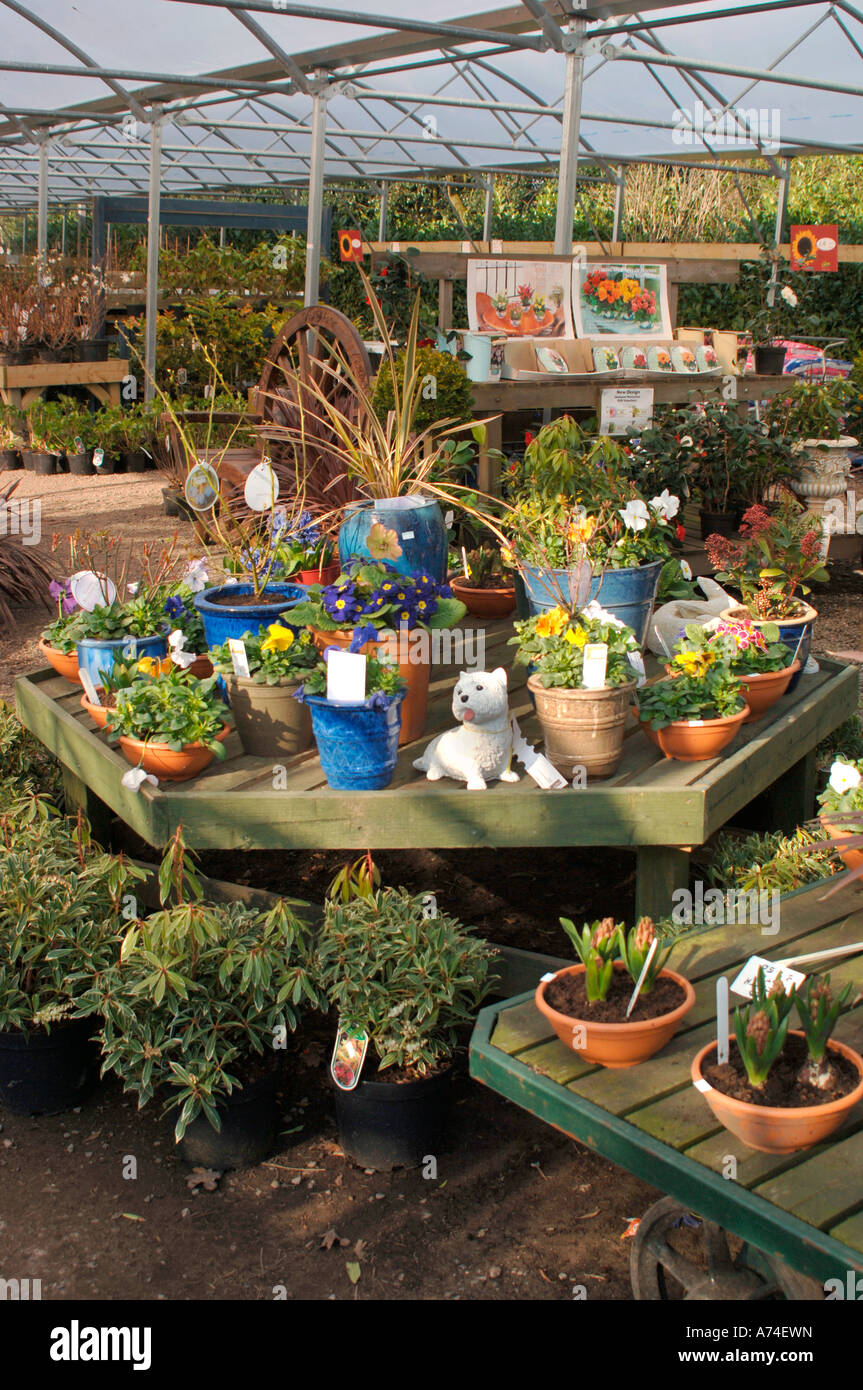 Garden Center, Undercover Section selling Garden Related Items Stock ...