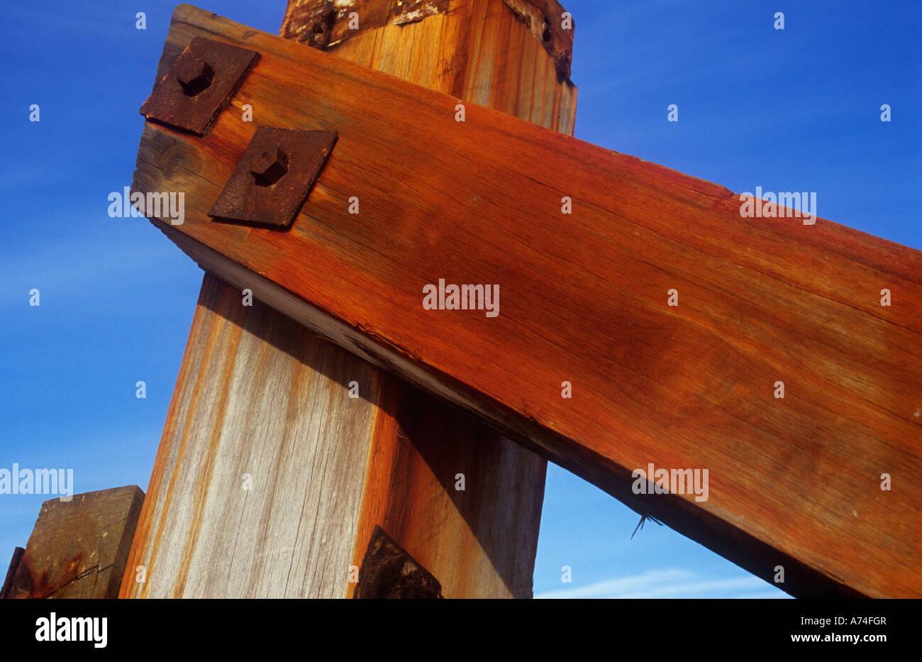 Weathered and rust–stained remains of heavy timber supports for pier or ...