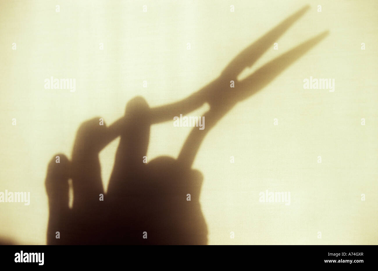 Shadow in warm light on pale cloth or curtain of hand holding a pair of ...