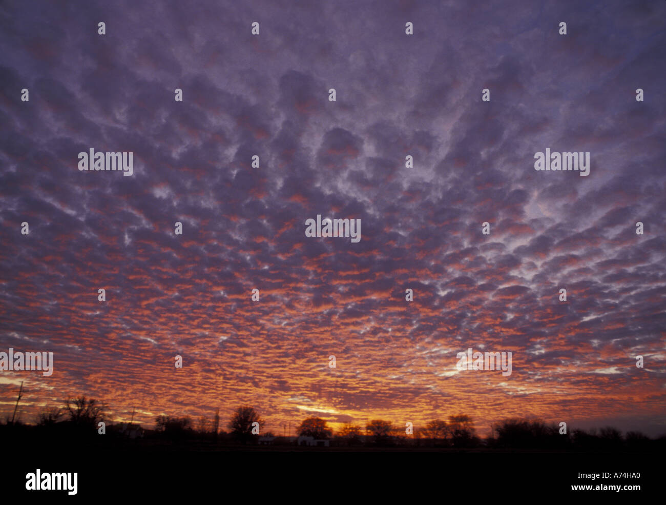Sunset las cruces hi-res stock photography and images - Alamy