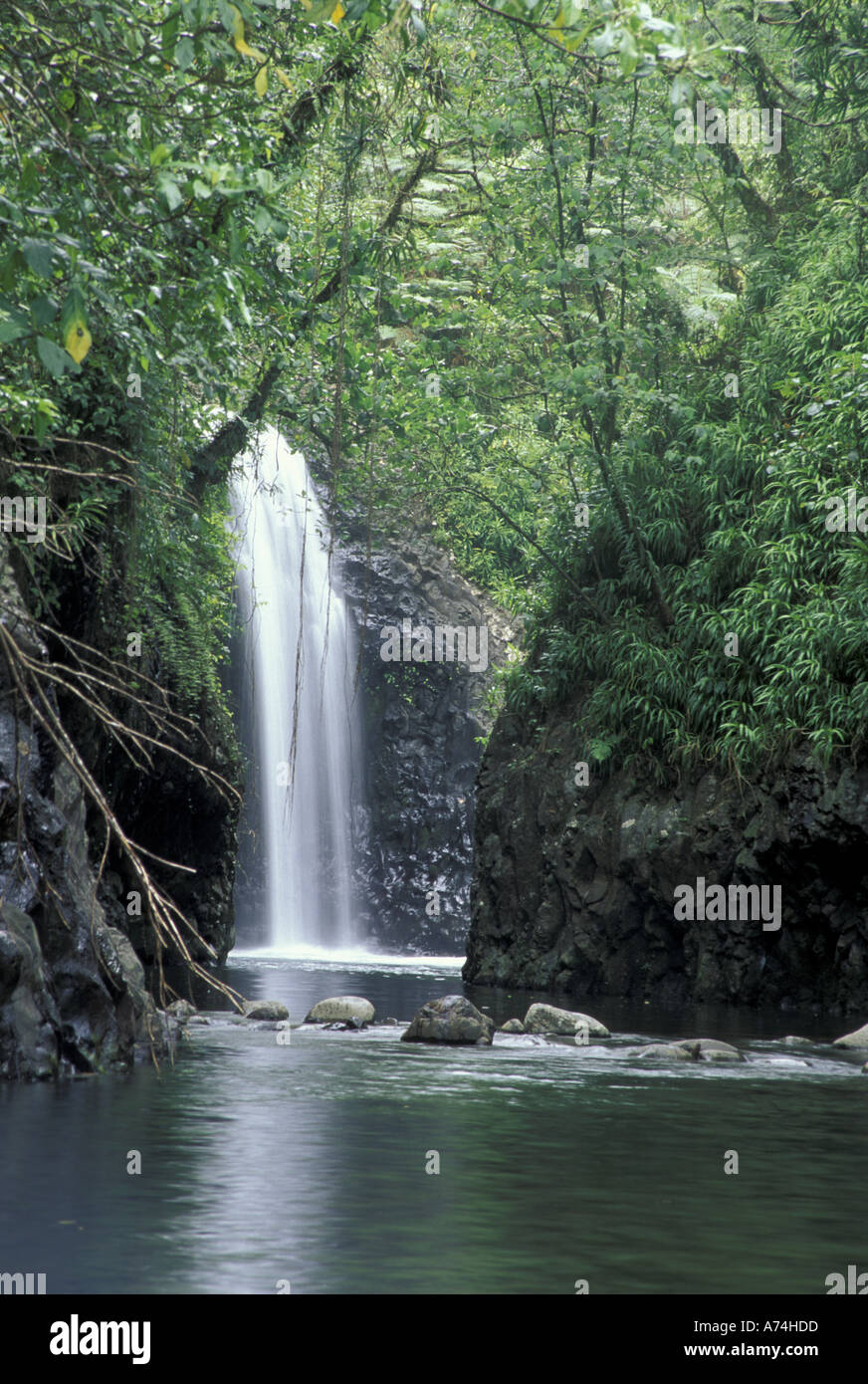 Fiji, Waterfall with reflection Stock Photo - Alamy