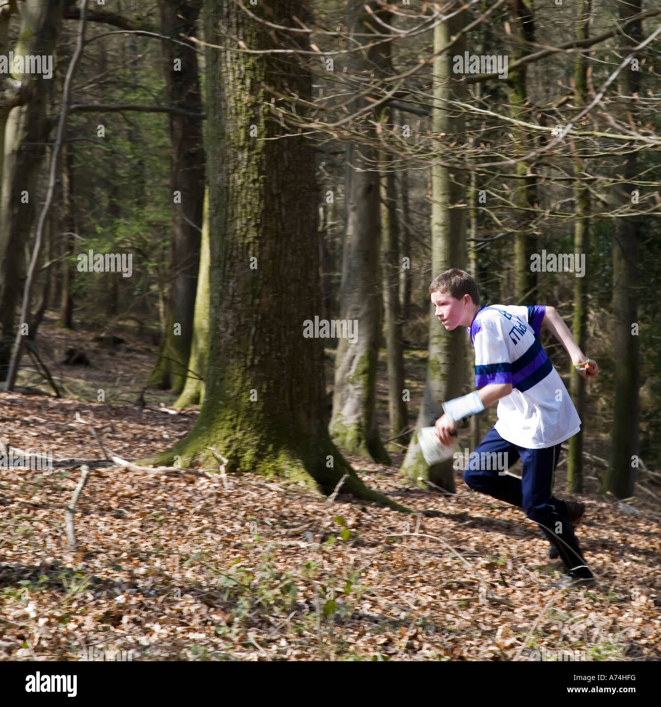 Boy running in forest during orienteering event Forest of Dean UK Stock ...