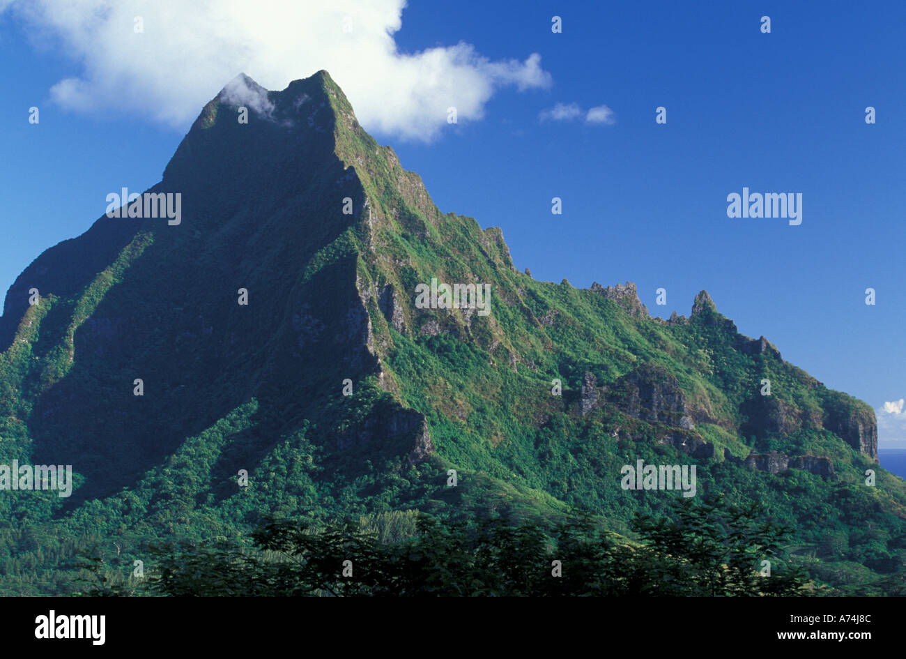 French Polynesia, Moorea. Mt. Rotui from Moorea Belvedere Stock Photo ...