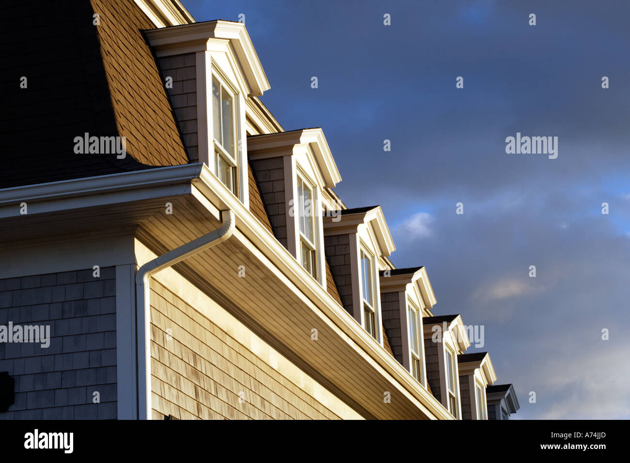Rows of Window in a Modern Office Building, Architectural Details Stock ...