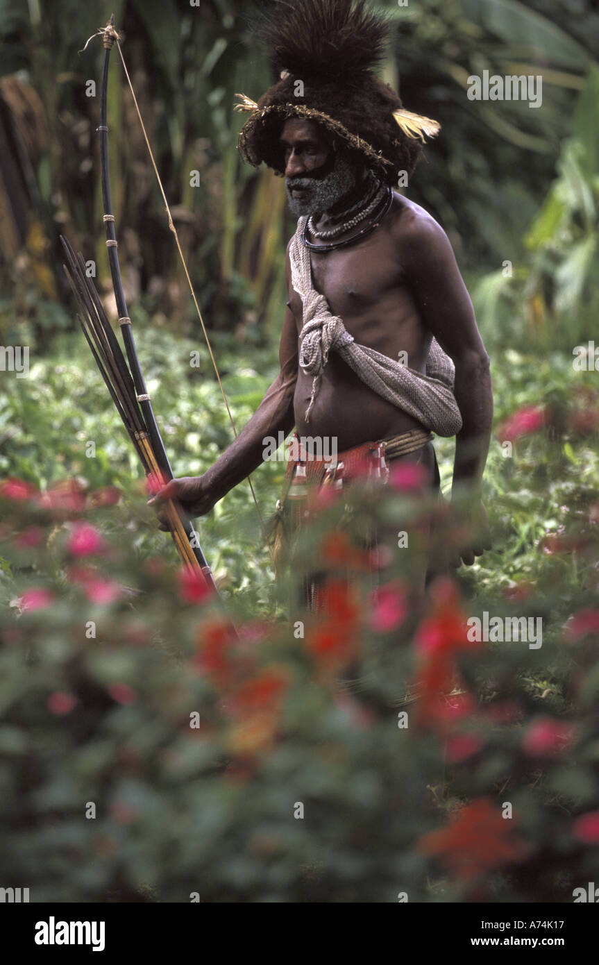 Papua New Guinea, Tari Valley. Huli Wigman Stock Photo - Alamy