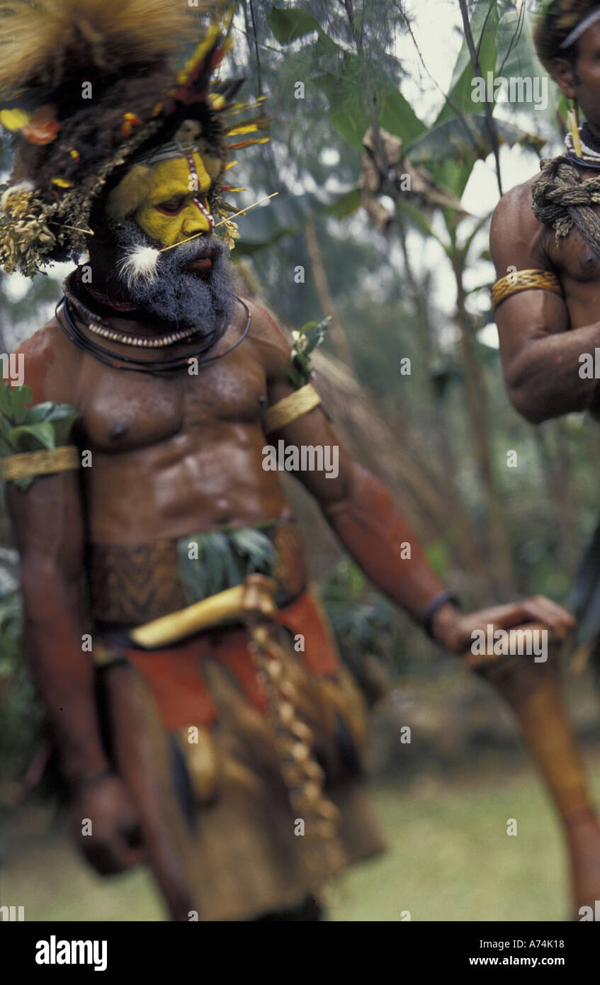 Papua New Guinea, Tari Valley. Huli Wigman Stock Photo - Alamy
