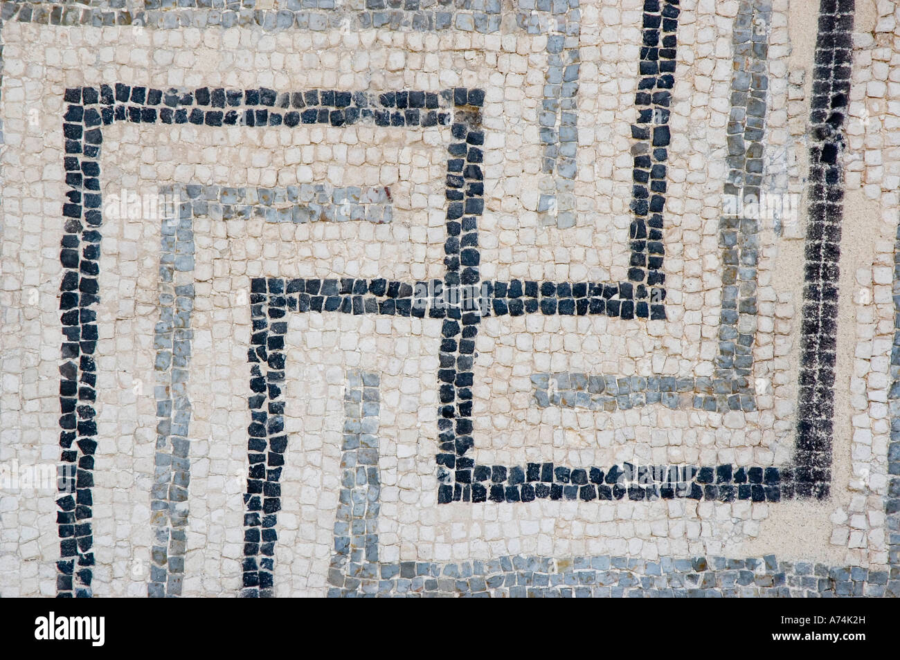 Swastika crosses in roman mosaic Regional Archaeology Museum ALCALA DE ...
