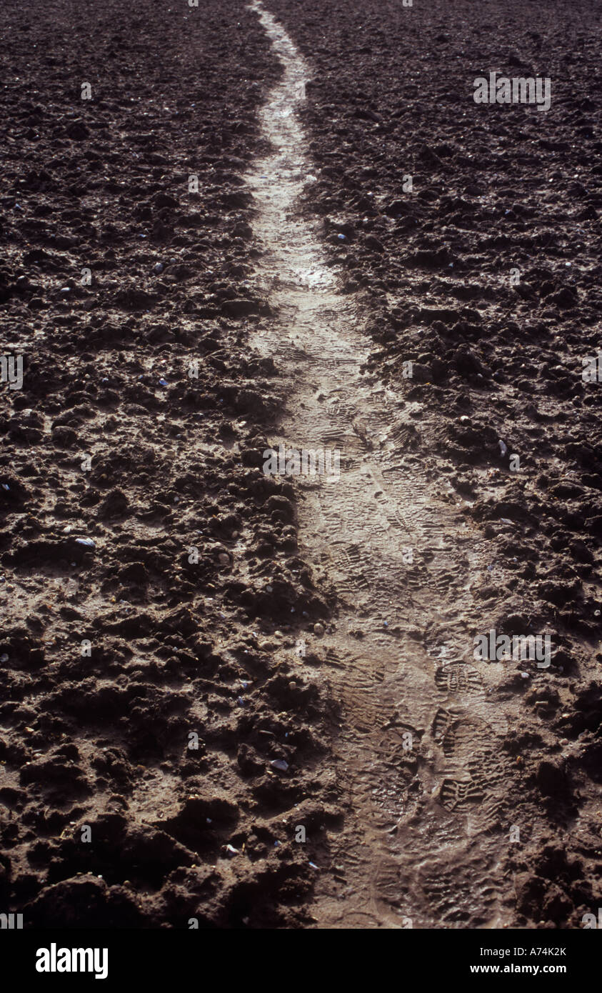Footprints of walking boots that have created a narrow winding footpath ...