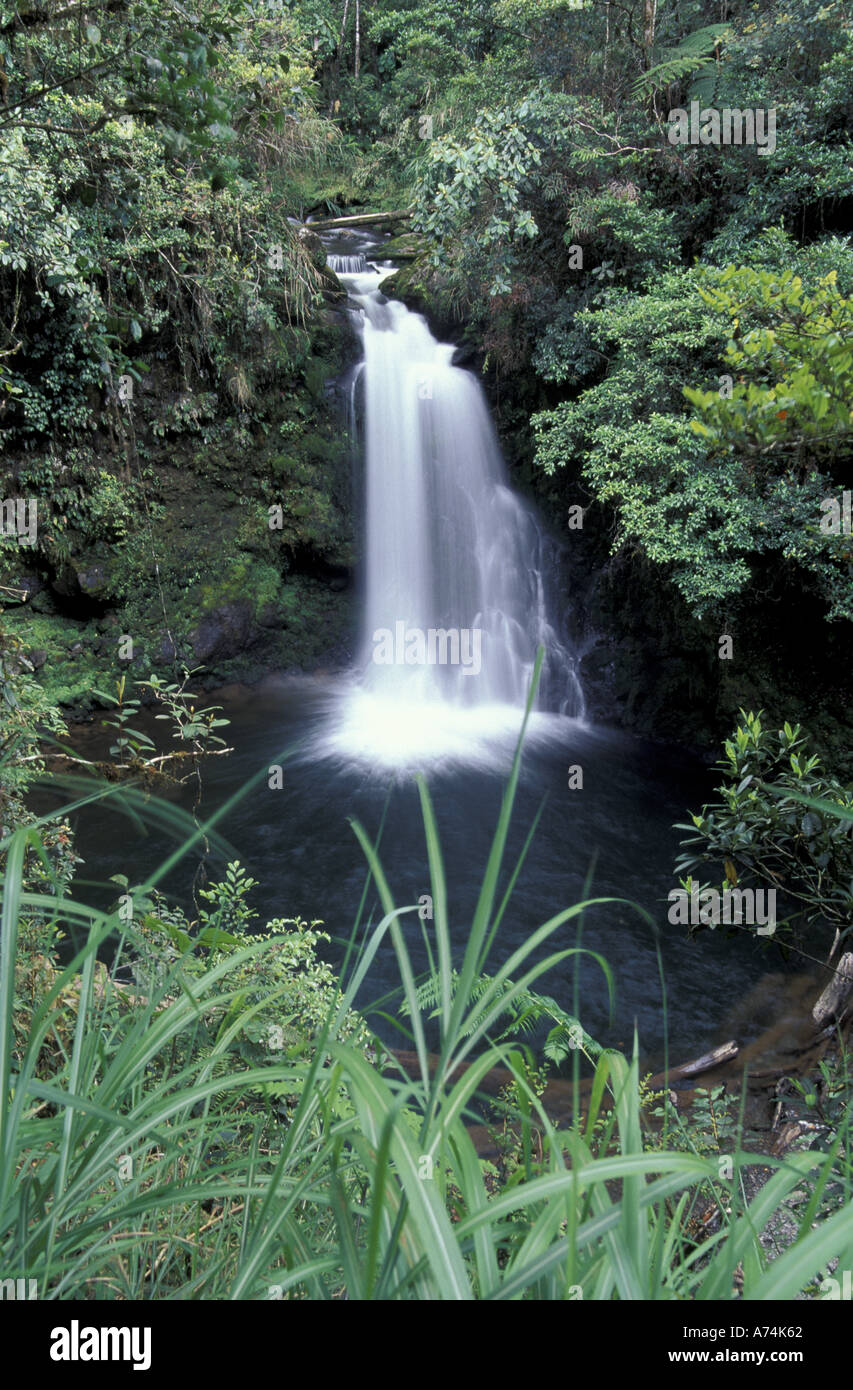 Asia, Papua New Guinea, Highland territory. Ambua falls Stock Photo - Alamy
