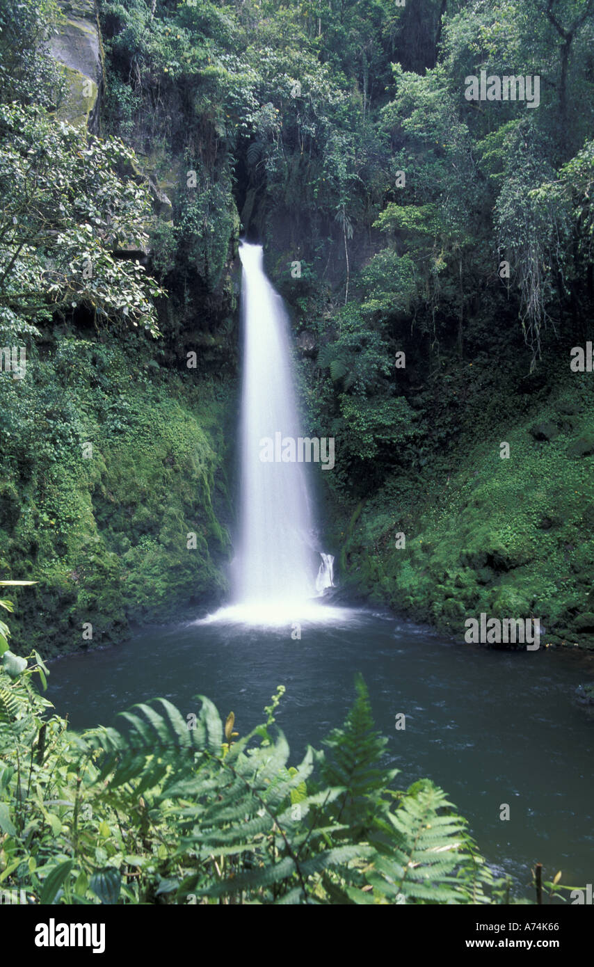 Asia papua new guinea highland hi-res stock photography and images - Alamy