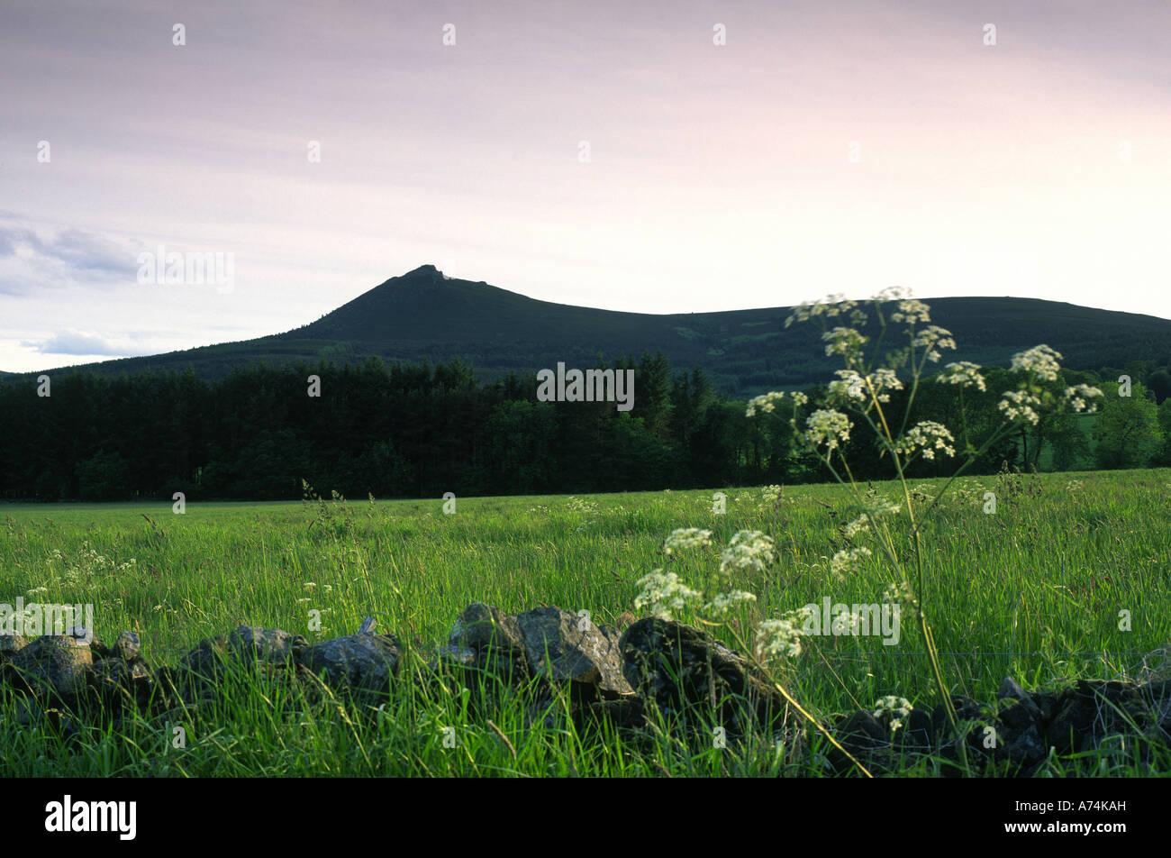 Bennachie mountain hi-res stock photography and images - Alamy
