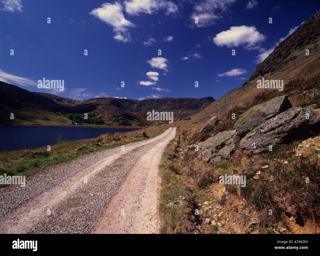 Loch lee, angus hi-res stock photography and images - Alamy