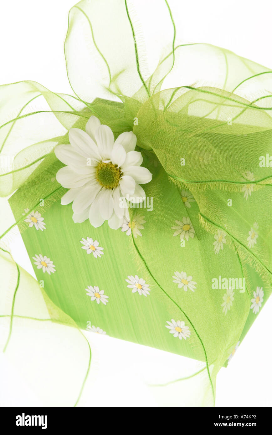 Green Daisy Gift Box Stock Photo - Alamy