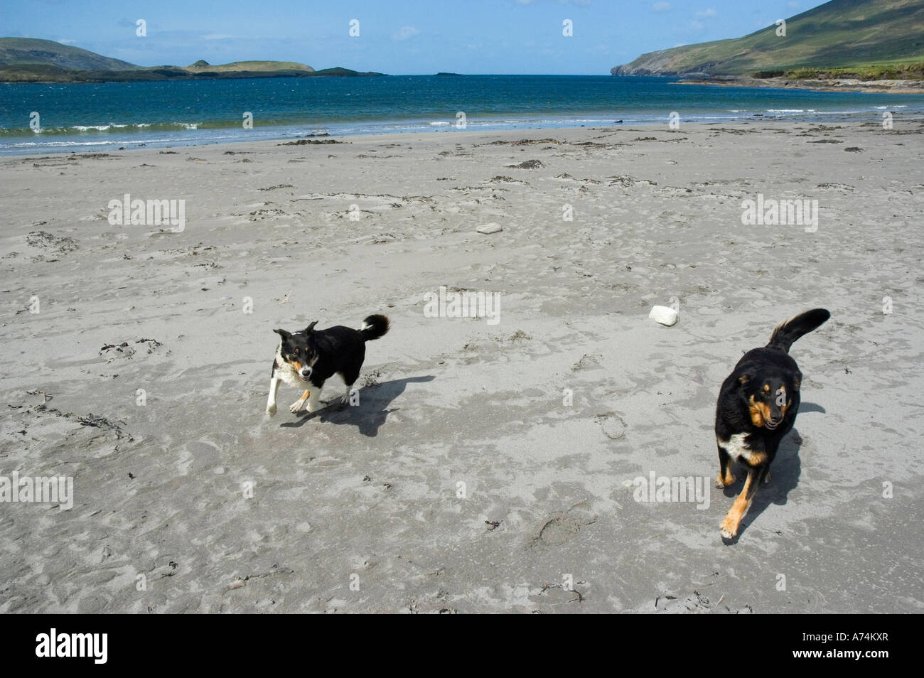 Cahersiveen Co Kerry Ireland High Resolution Stock Photography and ...
