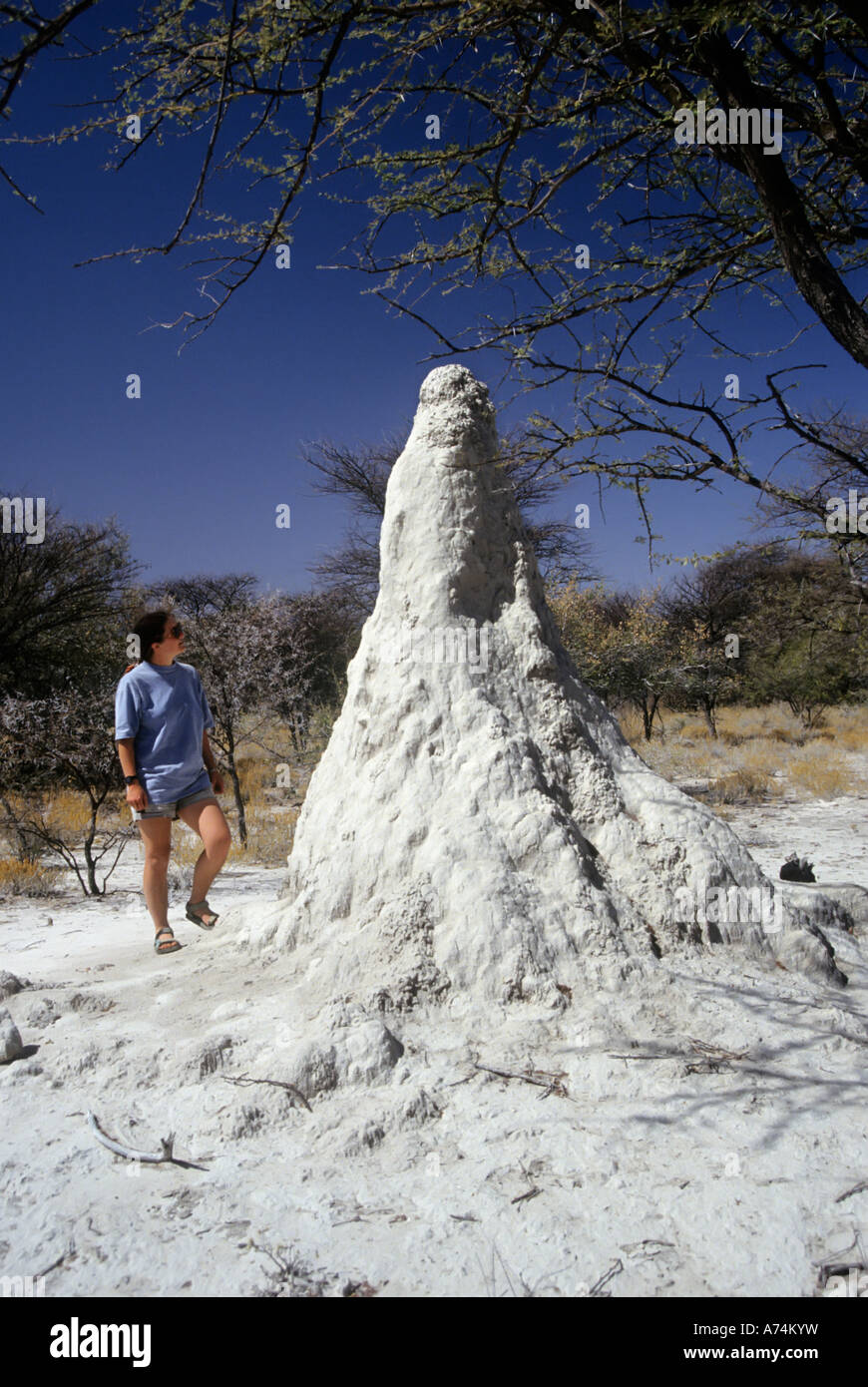 Termite tower hi-res stock photography and images - Alamy